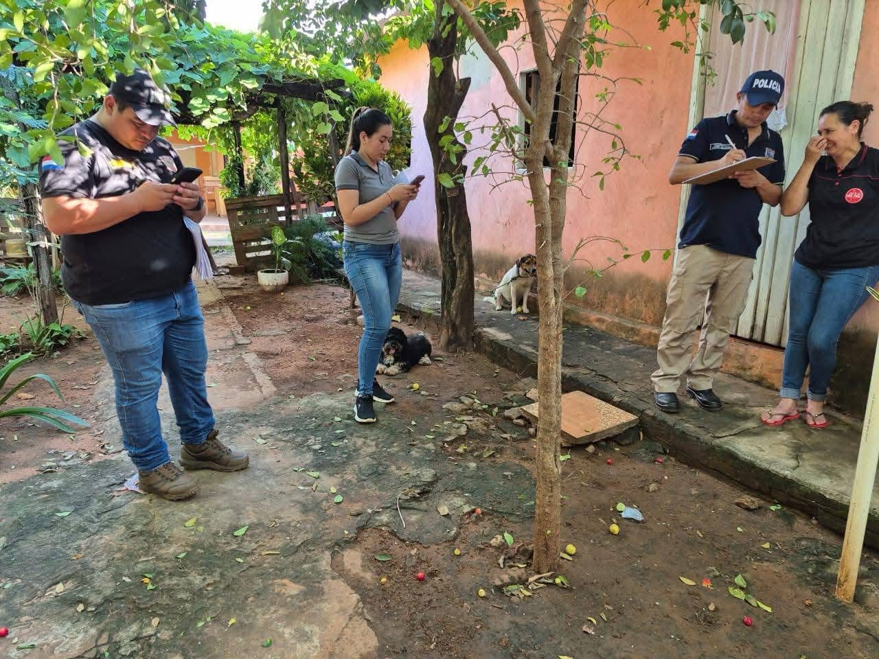 Fiscalía interviene ante la muerte de varios perros en Yby Ya’u ...
