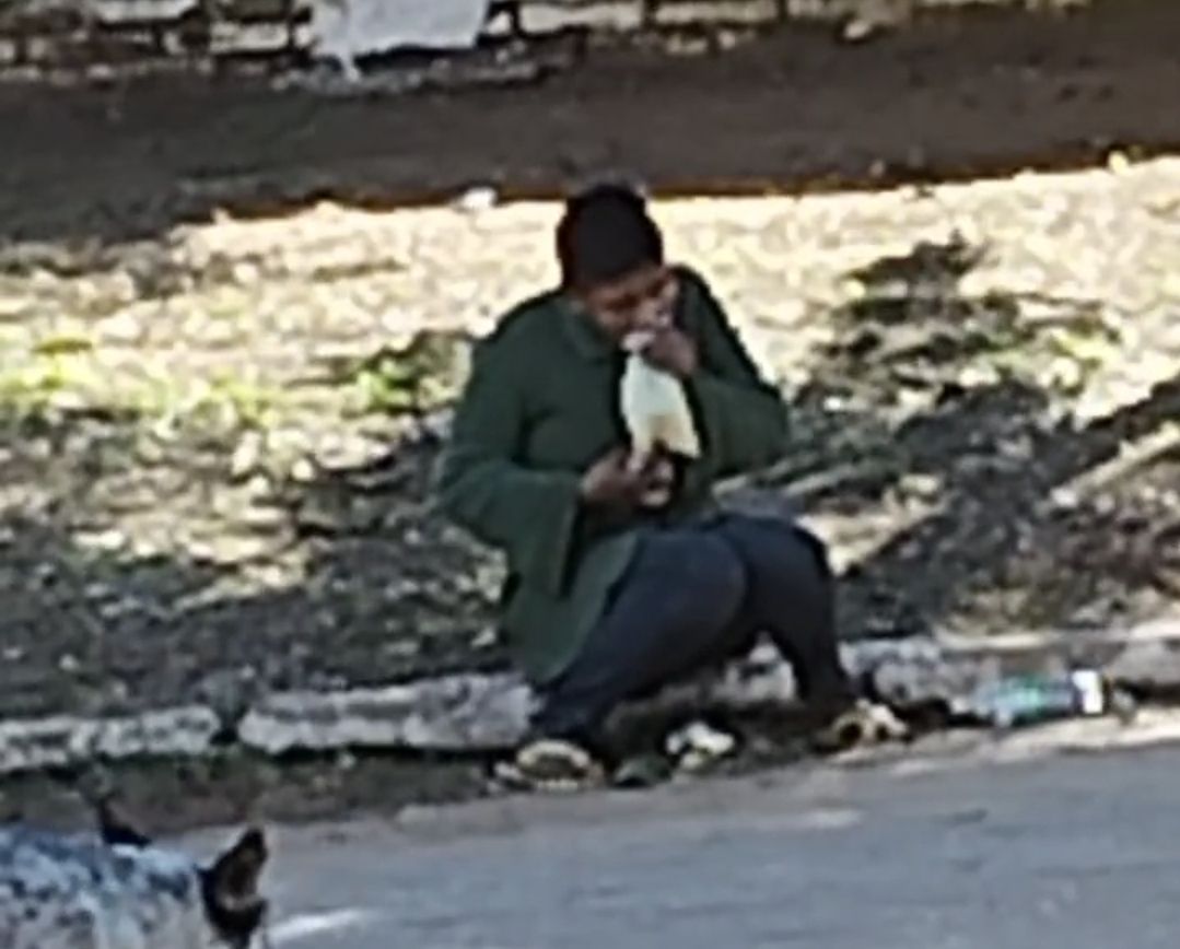 Preocupante escena en Concepción: hombre fue grabado consumiendo ...